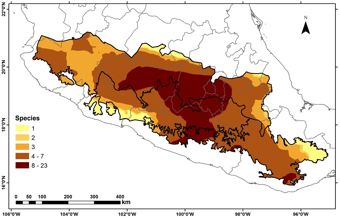 Transition zones and biogeographic characterization of endemism in ...